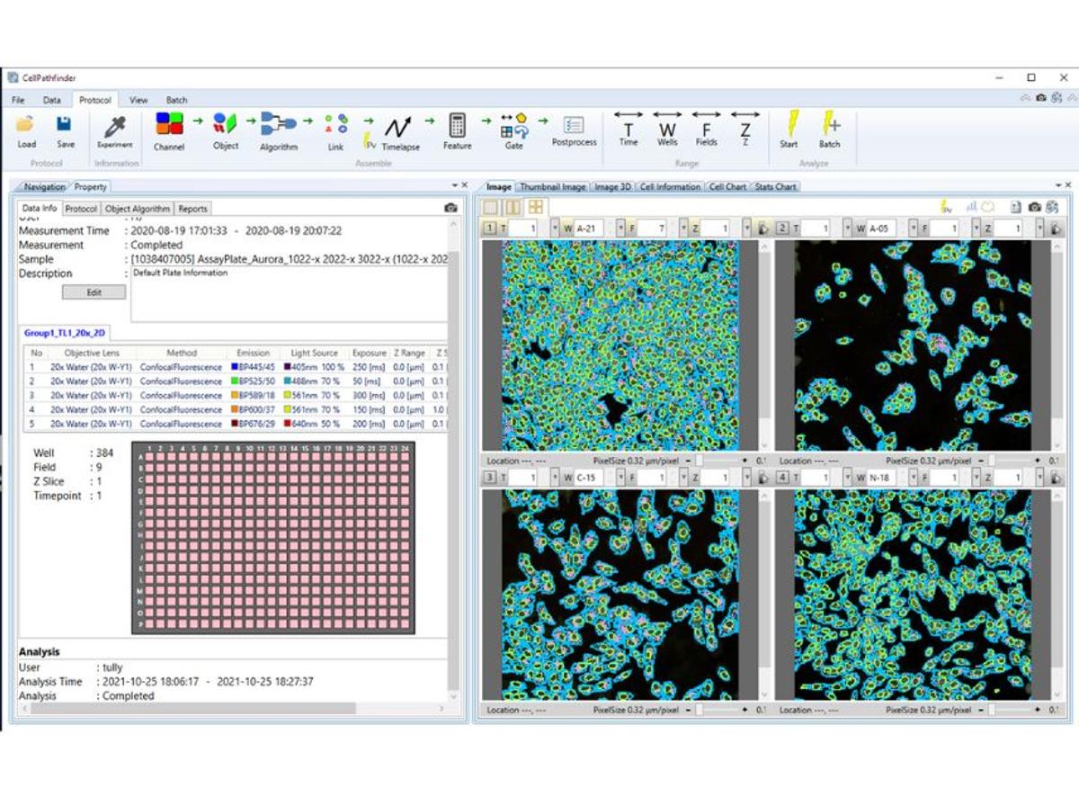 Thermo Scientific™ PageRuler™ Plus Prestained Protein Ladder, 10 to 250 kDa