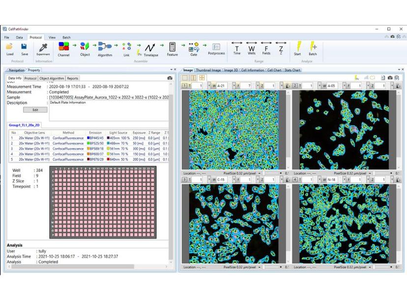 Thermo Scientific™ PageRuler™ Plus Prestained Protein Ladder, 10 to 250 kDa