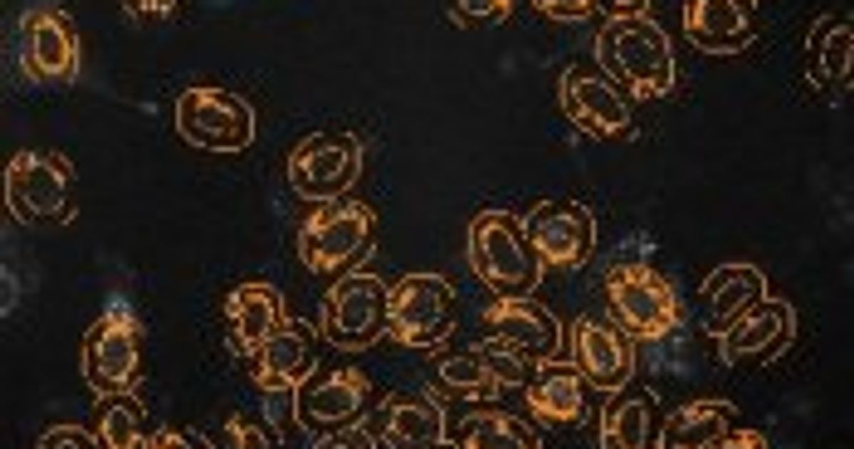 Buy Spot Detector V2 Image Analysis BioApplication Read Reviews