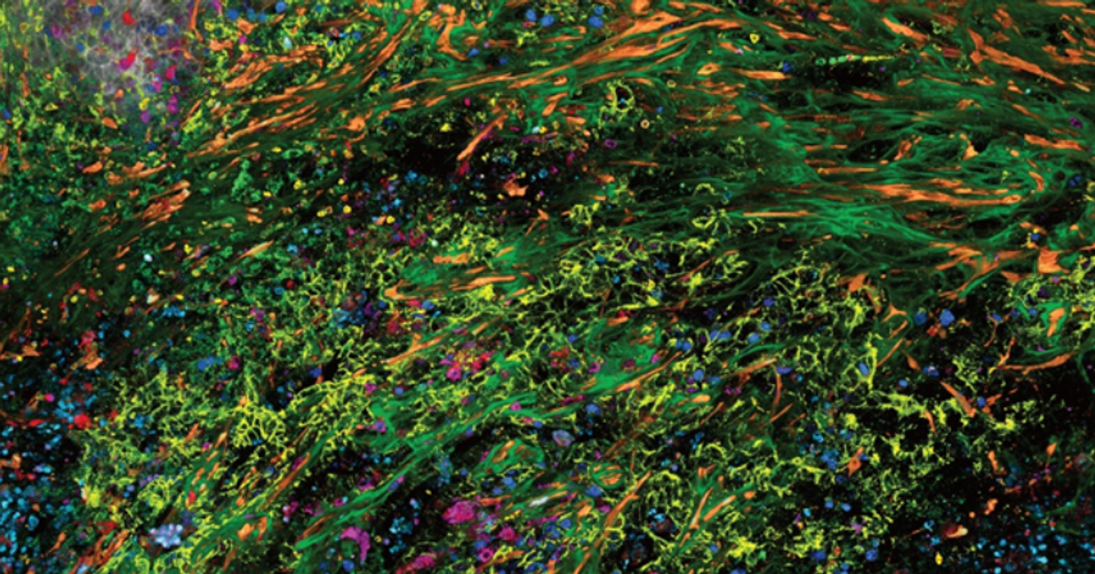 Access 3D high-plex spatial information across scales