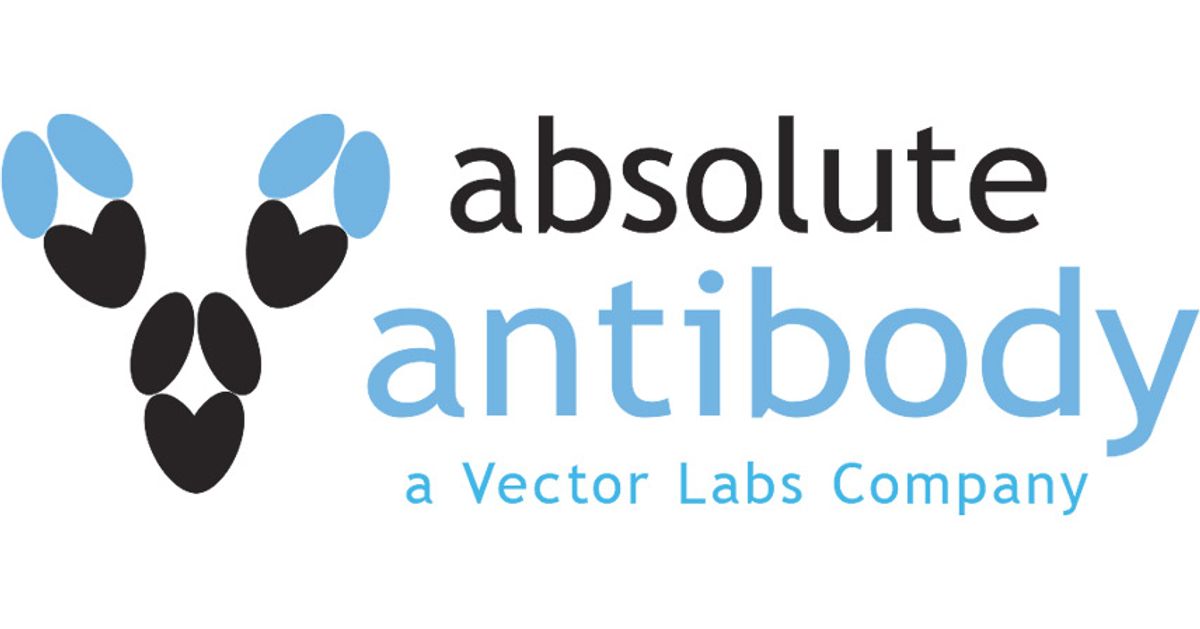 Research grade biosimilars antibodies