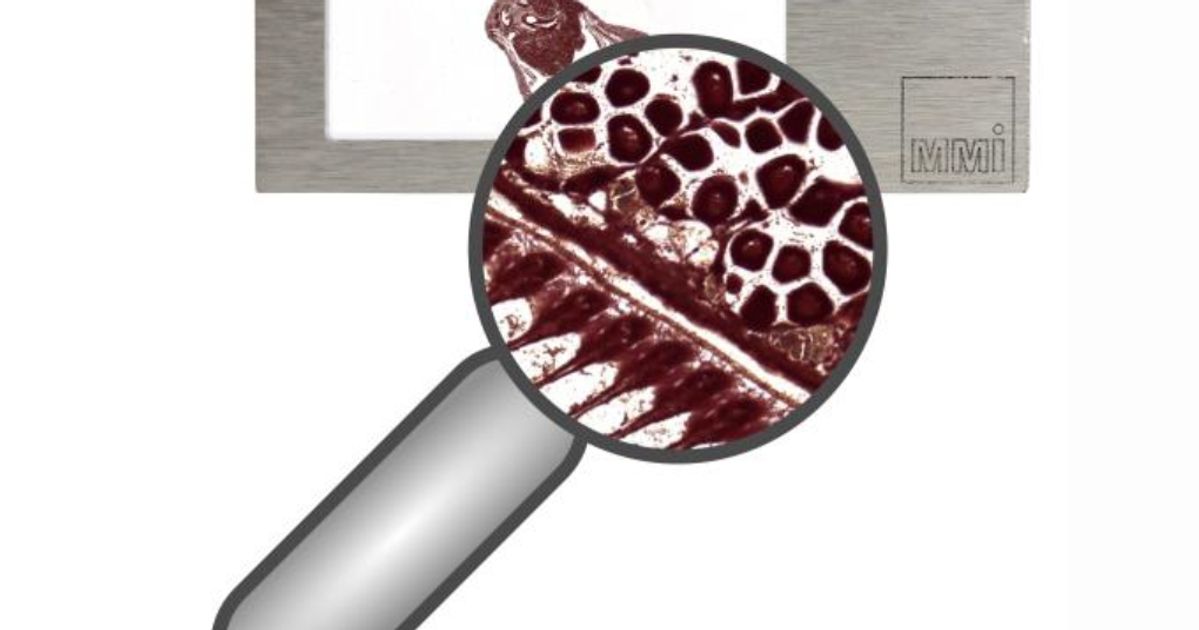 Whole Slide Imaging meets Laser Microdissection