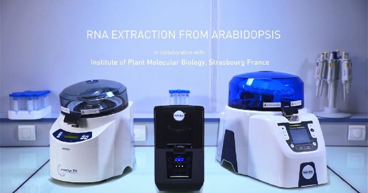 RNA Extraction from Arabidopsis Seedling with Minilys