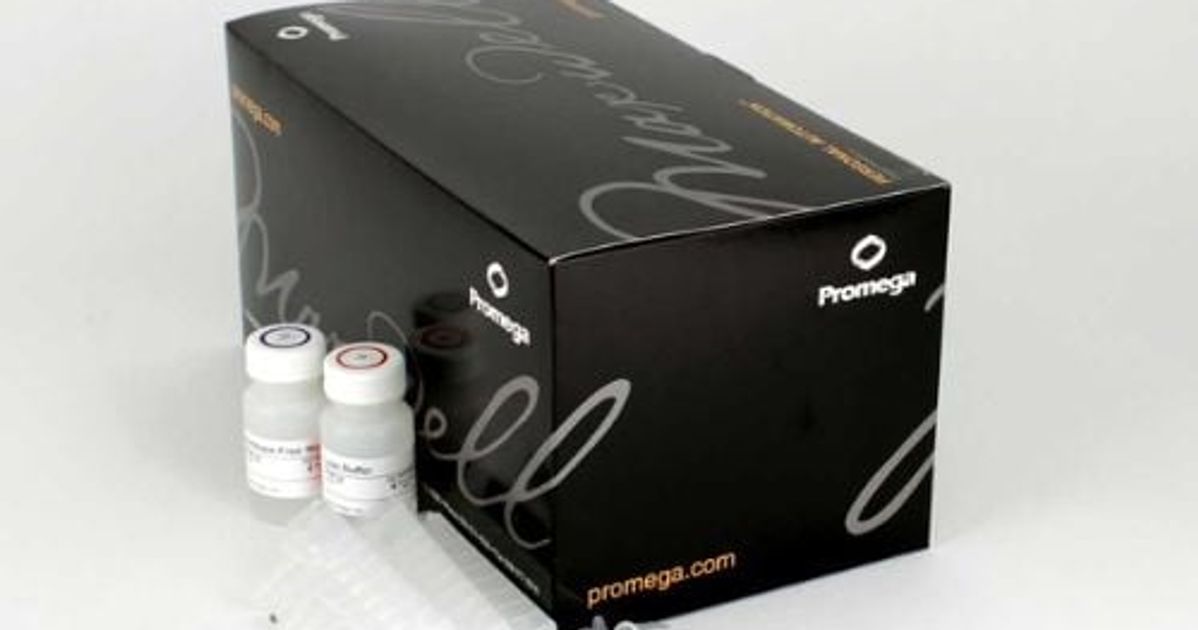 Maxwell® RSC Whole Blood DNA Kit