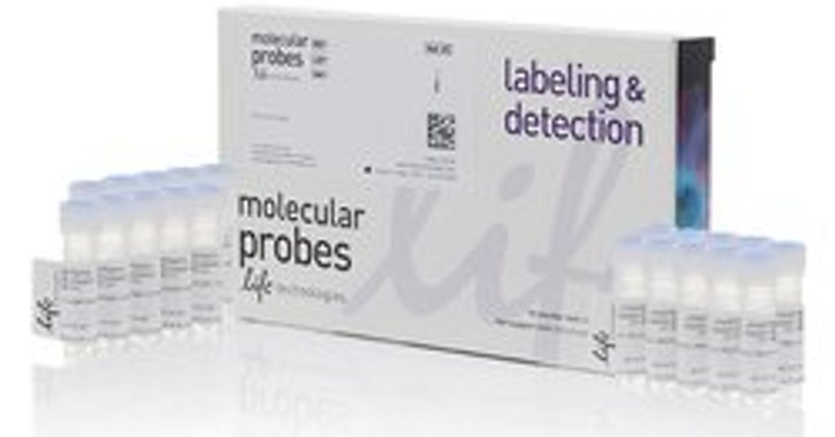 Buy Invitrogen™ MitoTracker™ Red FM - Special Packaging Read Reviews