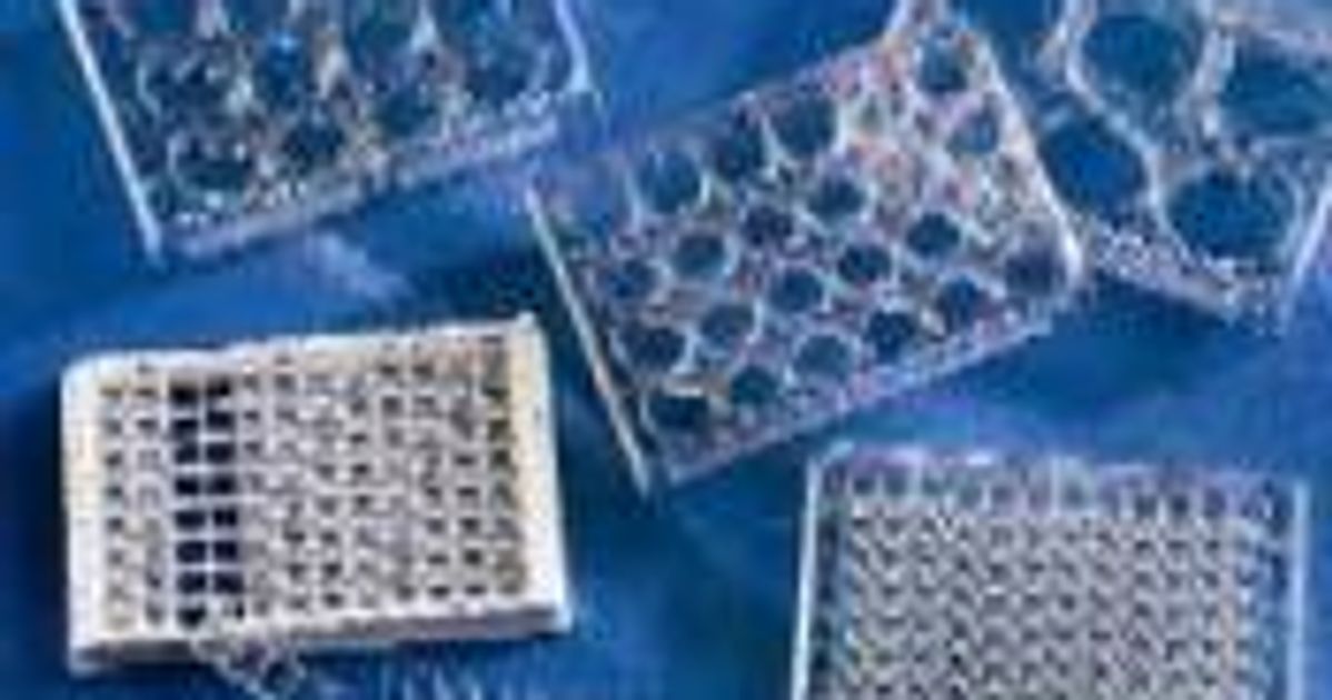 Costar® 6-well Clear TC-treated Multiple Well Plates, Individually ...