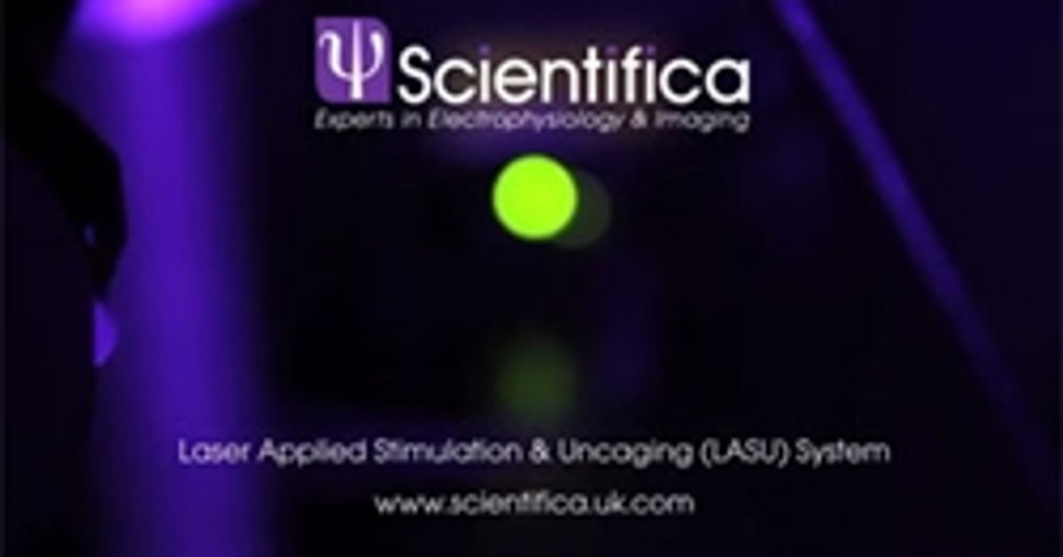 Scientifica Introduces LASU, the 'Laser Applied Stimulation & Uncaging ...