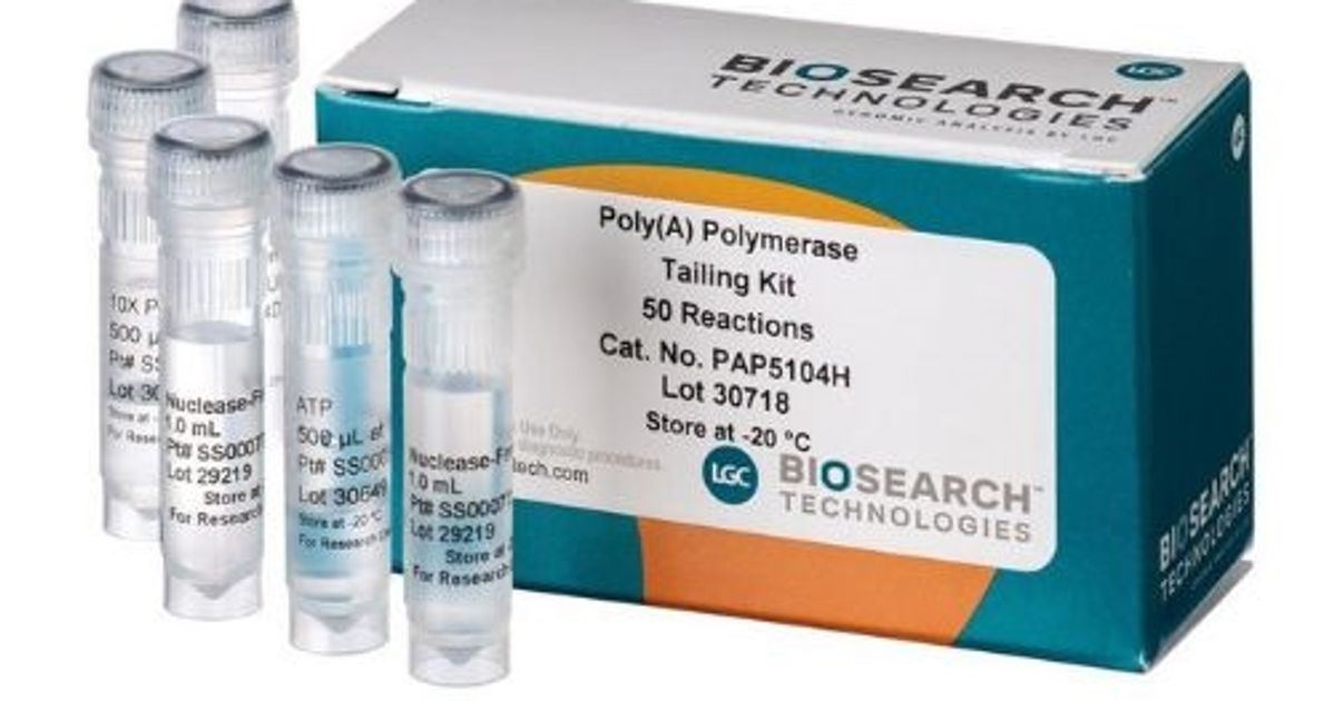 Poly(A) polymerase tailing kit | SelectScience