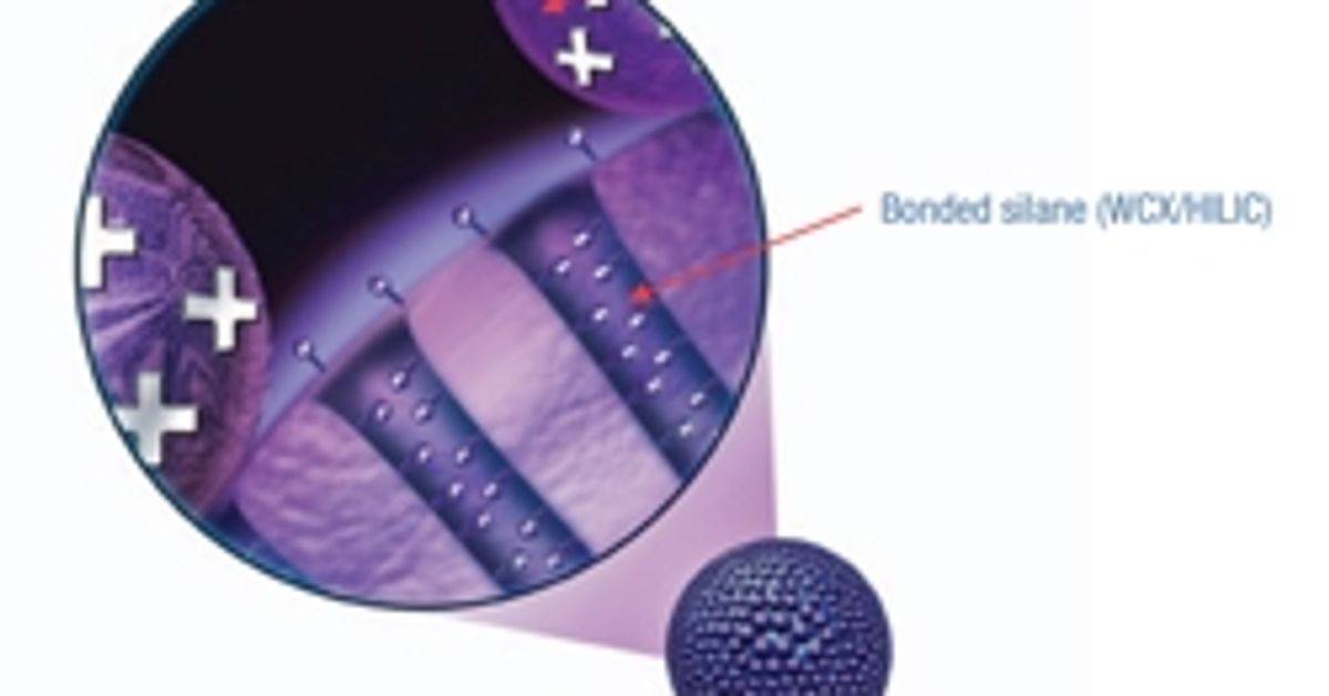 Thermo Scientific™ Acclaim™ Trinity P2 LC Column