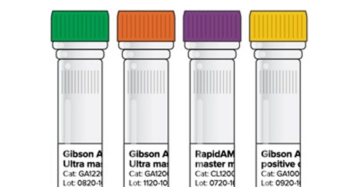Buy Gibson Assembly RapidAMP Ultra kit Read Reviews