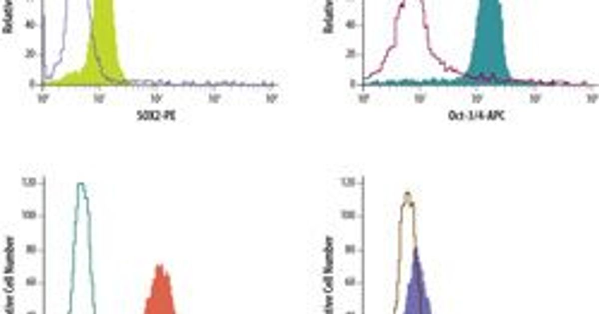 Human/Mouse Embryonic Stem Cell 4-Color Flow Cytometry Kit