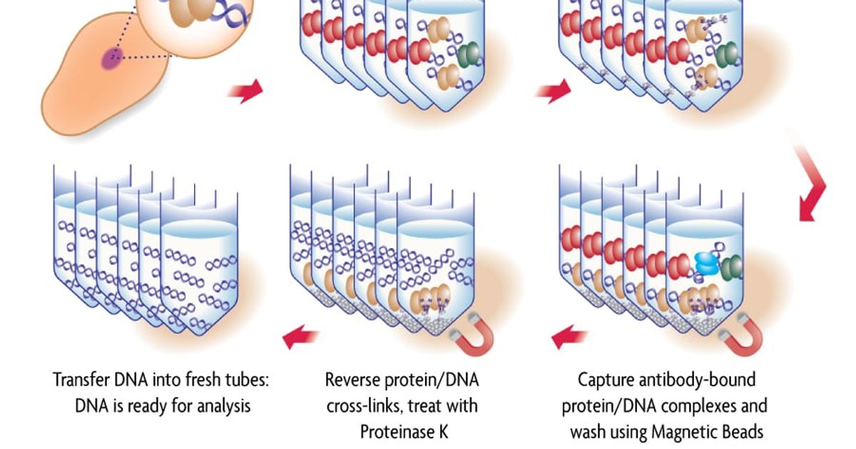 ChIP-IT® Express kit reviews