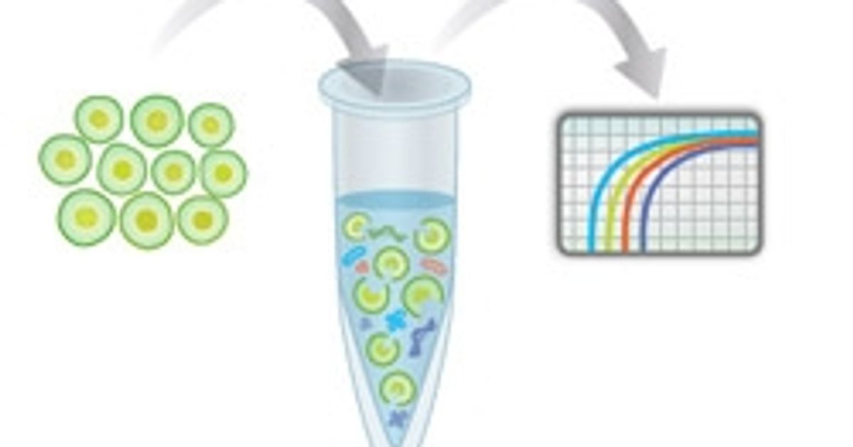 Bio-Rad Introduces SsoAdvanced™ Universal Inhibitor-Tolerant SYBR®Green ...