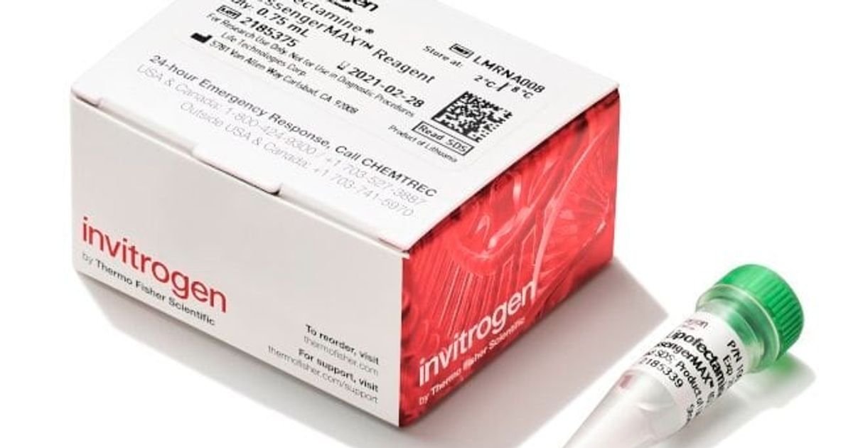 Buy Invitrogen™ Lipofectamine™ MessengerMAX™ Transfection Reagent Read ...