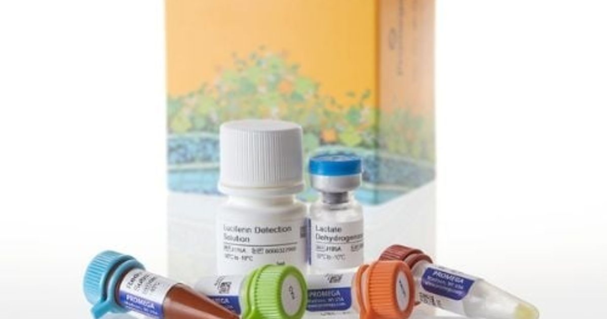Buy Lactate-Glo® Assay Read Reviews
