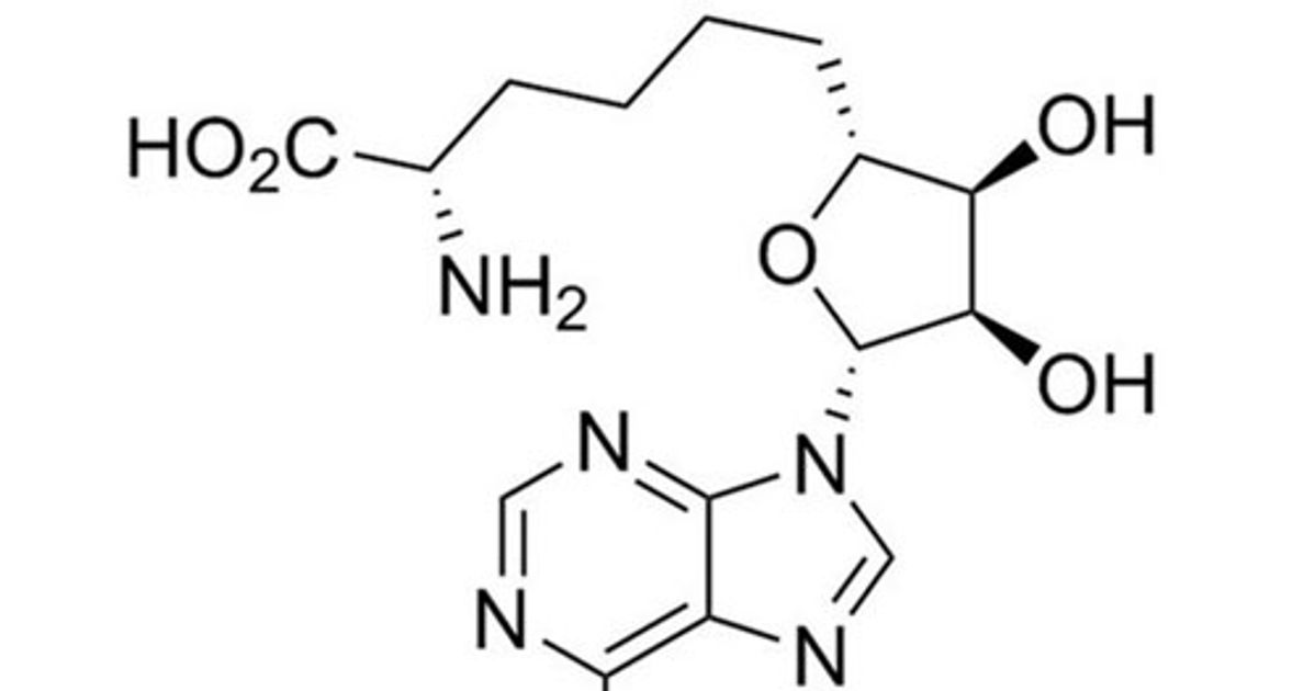 Buy Sinefungin Read Reviews