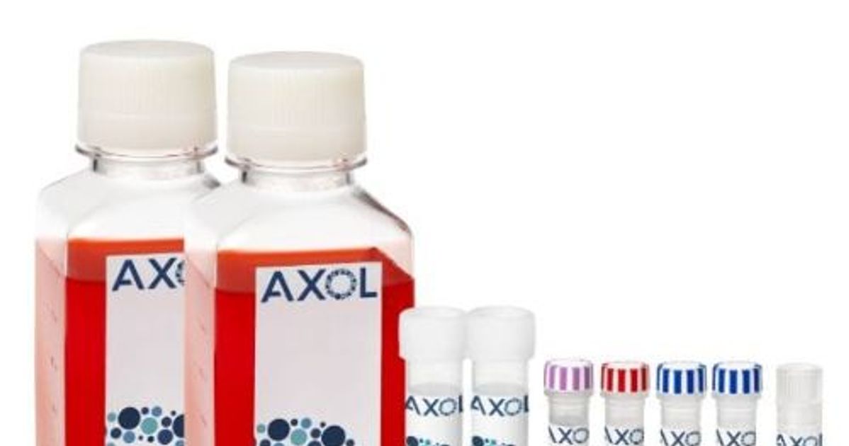 axoCells™ Human iPSC-Derived Striatal Neuron Cells, Media, Supplements ...
