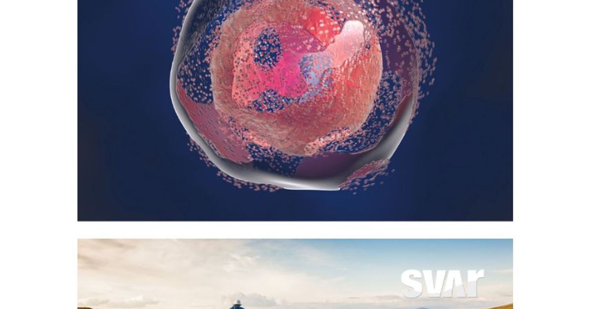 iLite® Cell-based Complement Bioassays