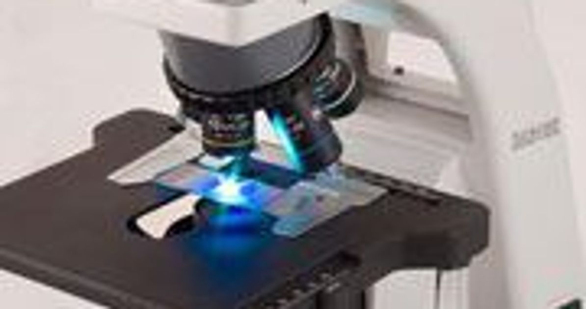 Motic Launches New LED Fluorescence for Biological Microscopes
