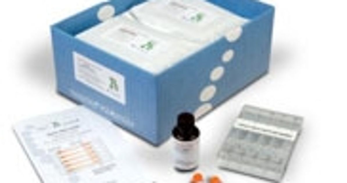 High Pass Plus™ Gel Cassette