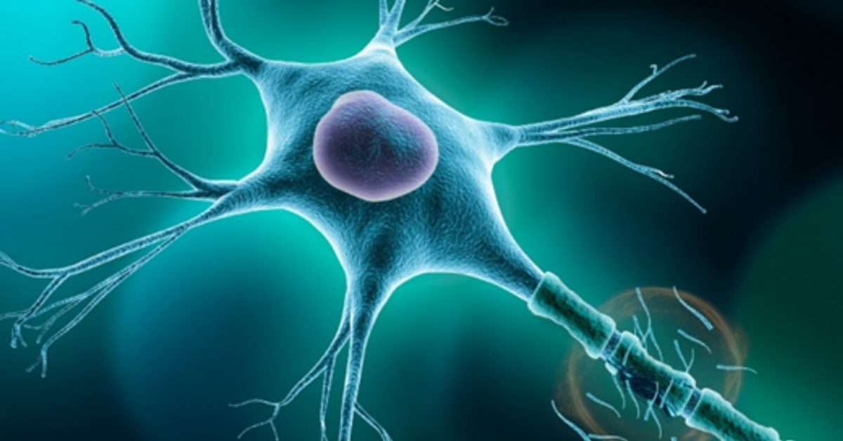 Predict multiple sclerosis outcomes with a simple blood test