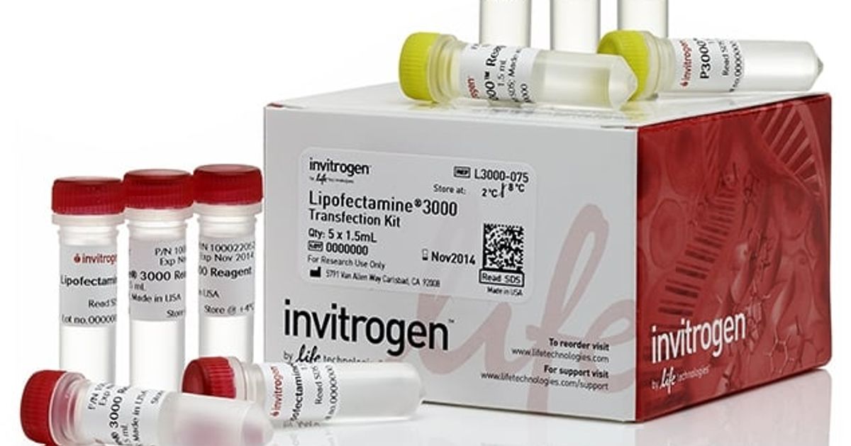 Invitrogen™ Lipofectamine® 3000 Transfection Reagent (5 x 1.5 mL)