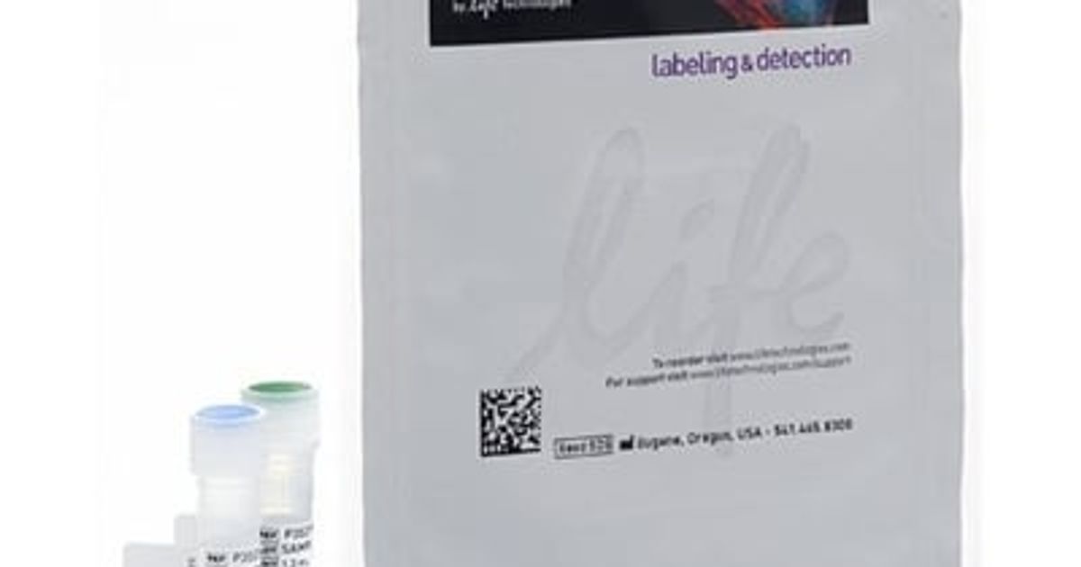 Invitrogen™ HCS CellMask™ Deep Red Stain