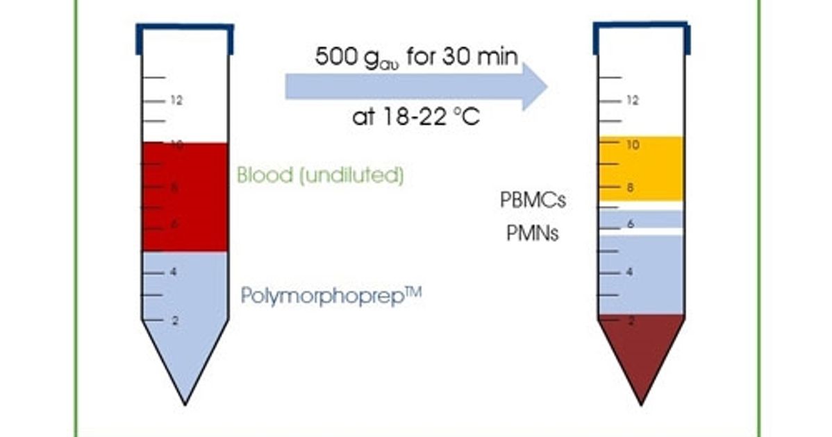 PolymorphPrep™ reviews