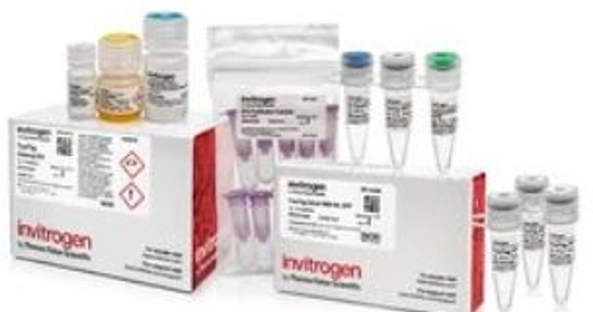 Invitrogen™ TrueTag™ Donor DNA Kits | SelectScience