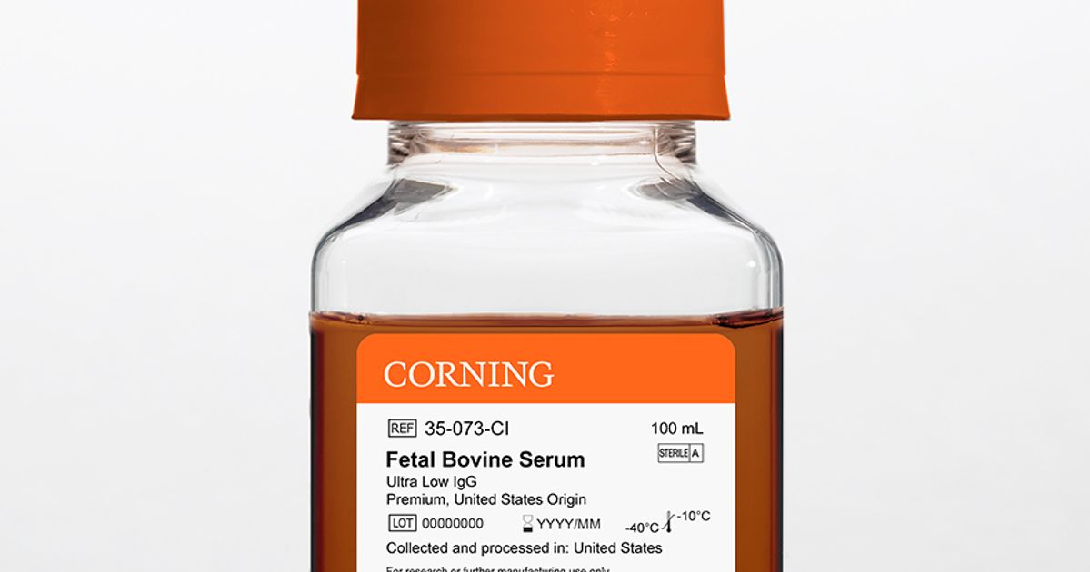 Buy Corning® Fetal Bovine Serum, 100 mL, Premium, United States Origin ...