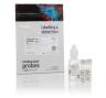 Buy Invitrogen™ LIVE/DEAD™ BacLight™ Bacterial Viability Kit Read Reviews