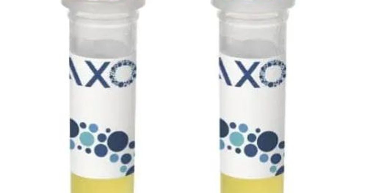 axoCells™ Human iPSC-Derived Cortical Neuron NeurOne Supplement (2 x 1ml)