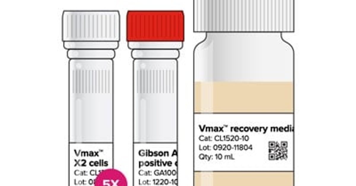 Vmax X2 chemically competent cells reviews