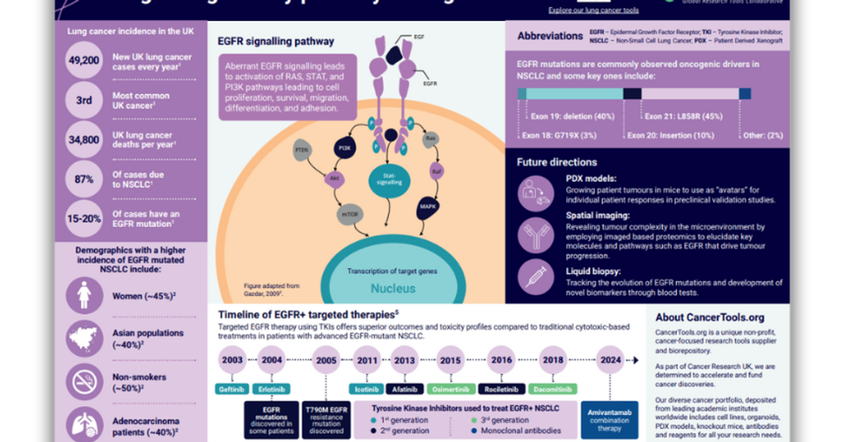 Understanding the impact of EGFR signalling in NSCLC