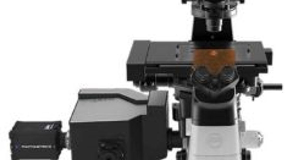 Nikon Microscope with Crest X-Light V2 Spinning Disk Confocal
