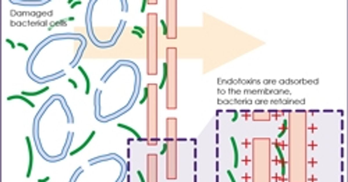 Positively Charged Nylon Membrane Filter from Porvair Produces Highly ...