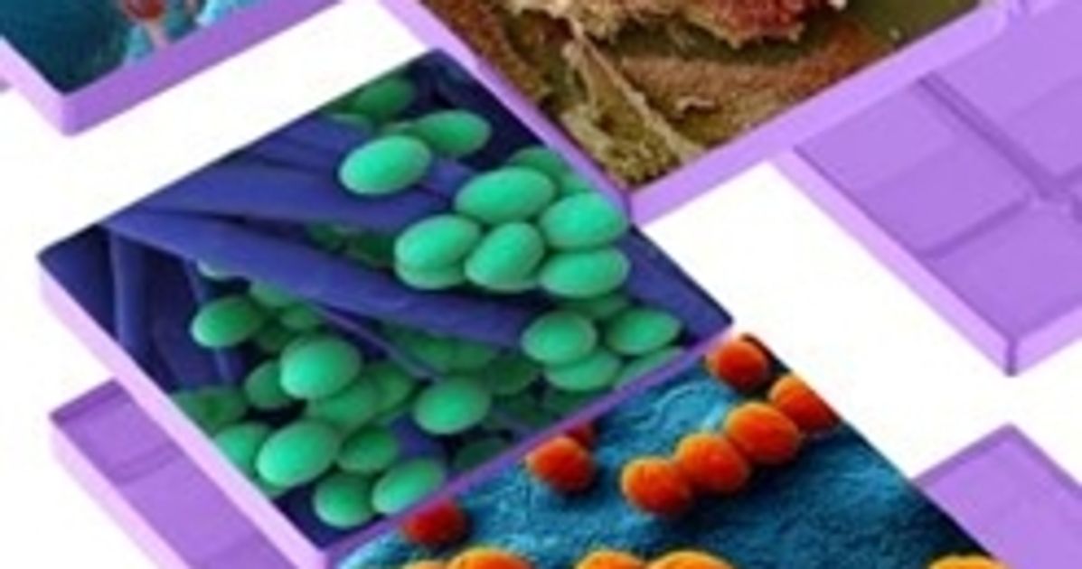 ATCC Will Feature Its Largest Portfolio of Infectious Disease Research ...