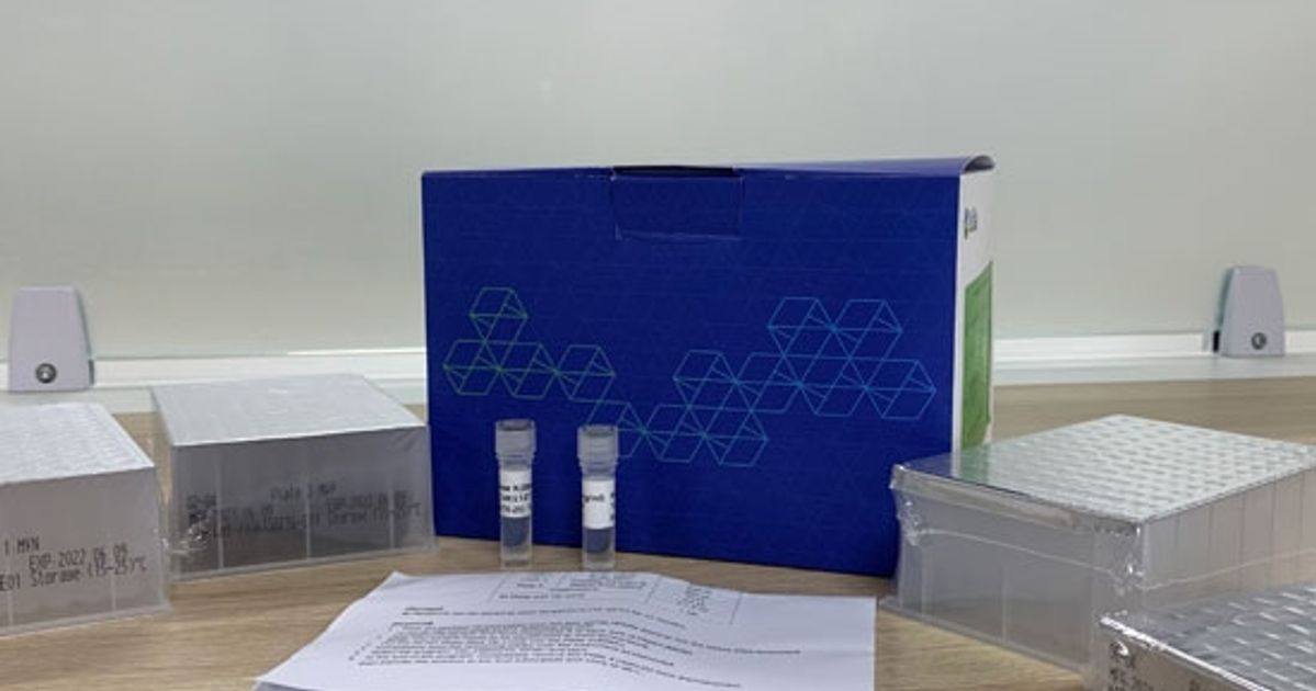 Virus DNA/RNA Kit