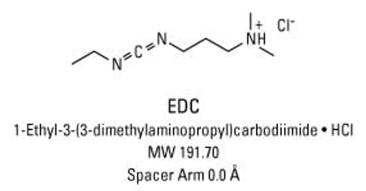 Thermo Scientific™ EDC (1-ethyl-3-(3-dimethylaminopropyl)carbodiimide ...