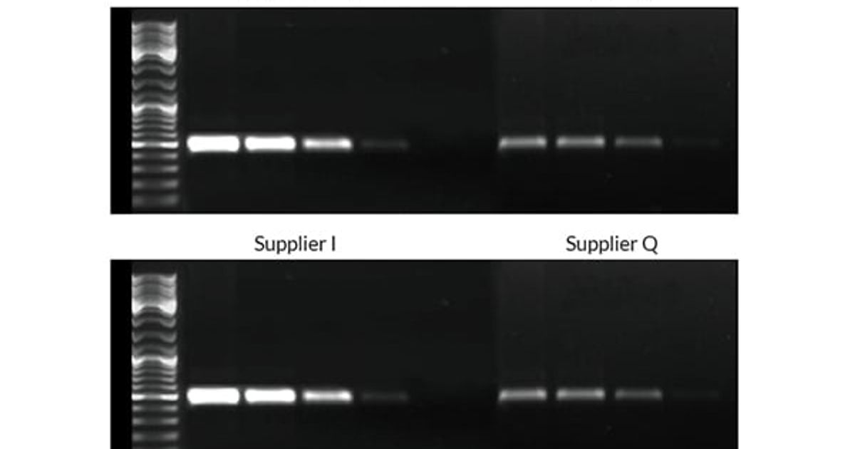 KAPA Taq PCR Kits reviews