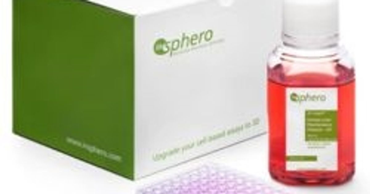 3D InSight™ Human Liver Microtissues