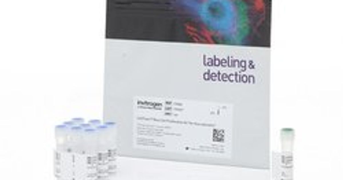 Buy Invitrogen™ CellTrace™ Blue Cell Proliferation Kit Read Reviews