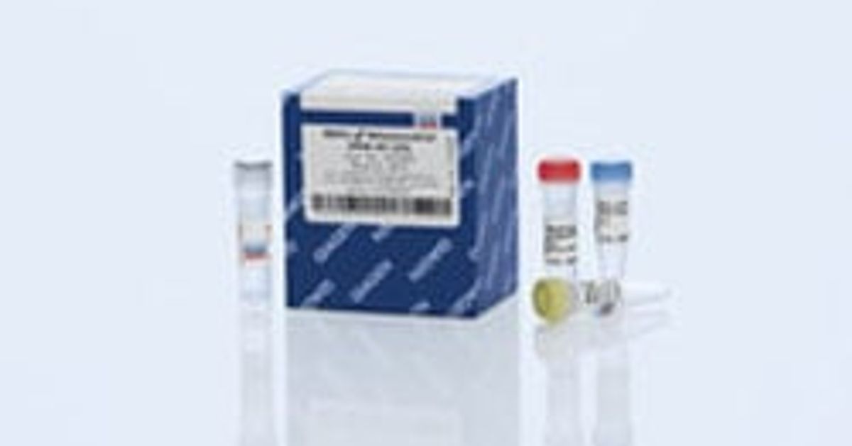 Buy REPLI-g Mitochondrial DNA Kit (25) Read Reviews