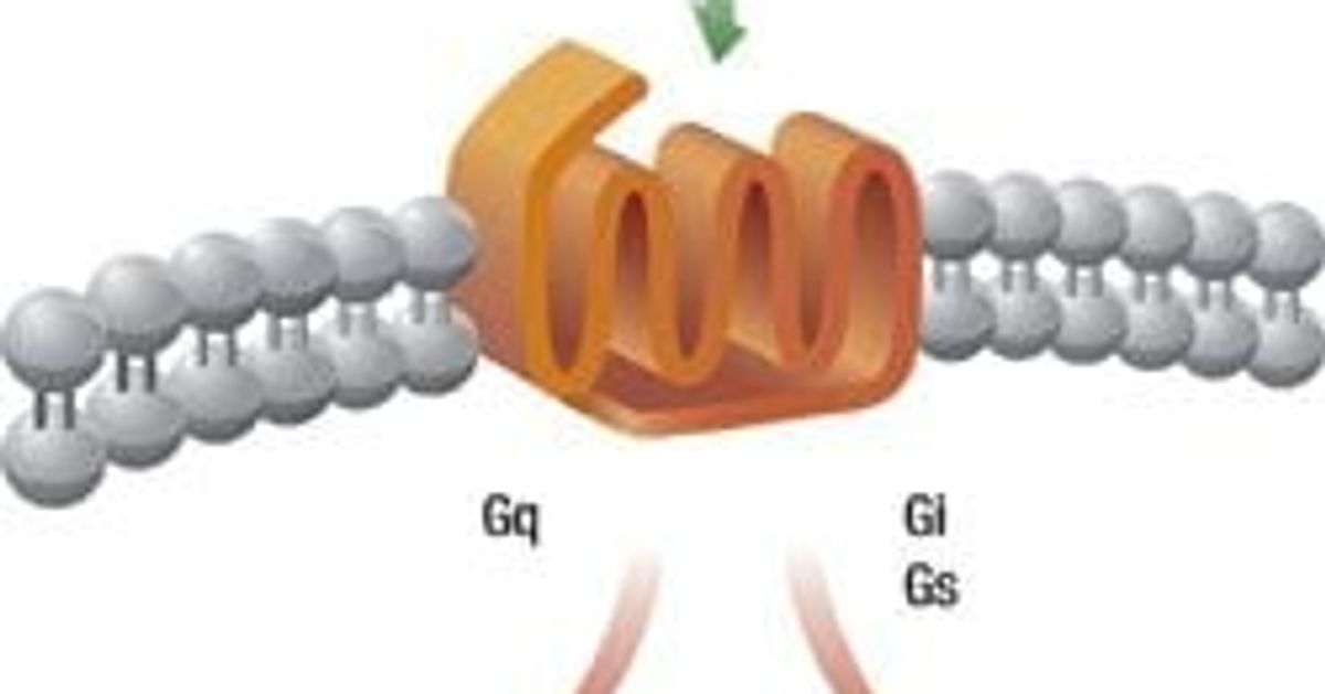 cAMP assay kits reviews