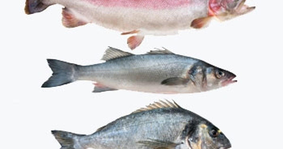 New Microbial Research Discovers Warning Sign to Prevent Fish-Killing ...