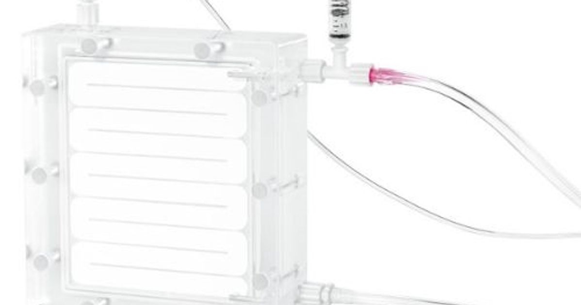 Buy Vivaflow® Read Reviews