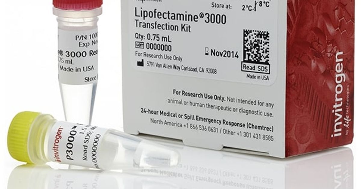Invitrogen™ Lipofectamine® 3000 Transfection Reagent (0.75 mL) reviews