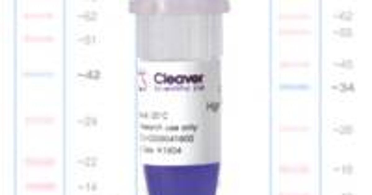 Protein Markers Add Colour to Gel Comparisons and Separations