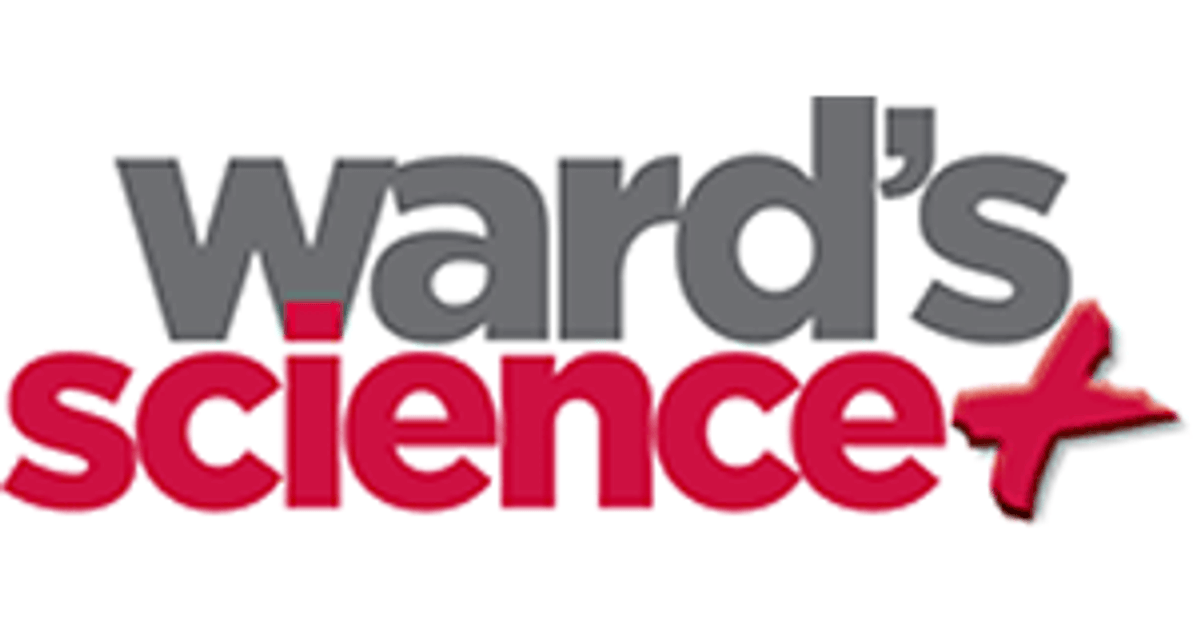 Ward's Science