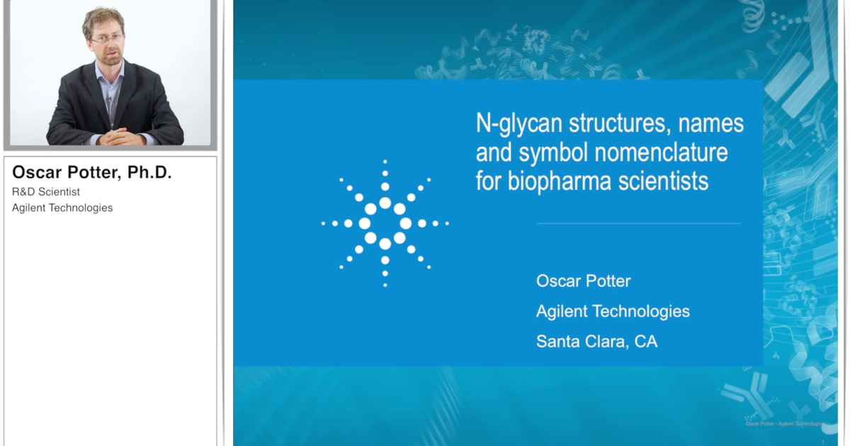 Describing N-glycan Structures in mAb Analysis